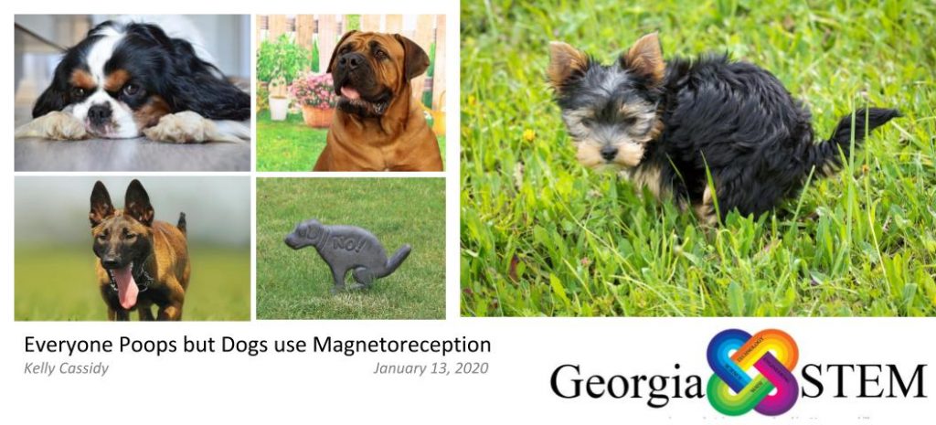 Everyone Poops- but Dogs use Magnetoreception - #GeorgiaSTEM